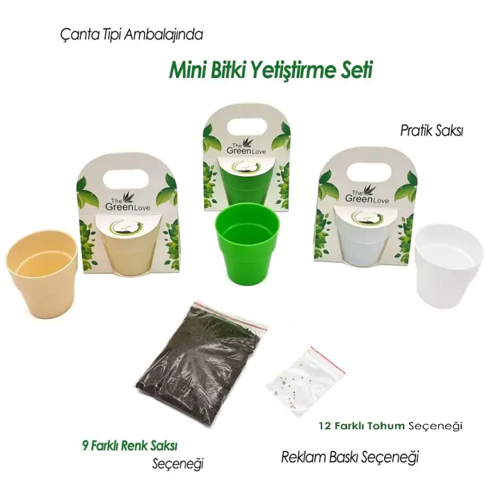 SAKSILI BİTKİ DİKİM SETİ KAPAKLI SAKSI KARTON SAKSI RENKLİ SAKSI