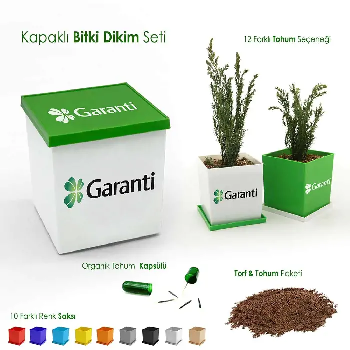 SAKSILI BİTKİ DİKİM SETİ KAPAKLI SAKSI KARTON SAKSI RENKLİ SAKSI
