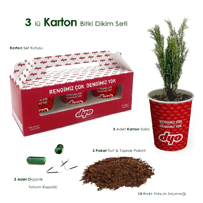 SAKSILI BİTKİ DİKİM SETİ KAPAKLI SAKSI KARTON SAKSI RENKLİ SAKSI