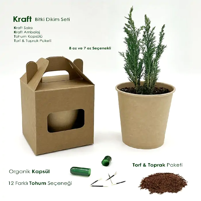 SAKSILI BİTKİ DİKİM SETİ KAPAKLI SAKSI KARTON SAKSI RENKLİ SAKSI